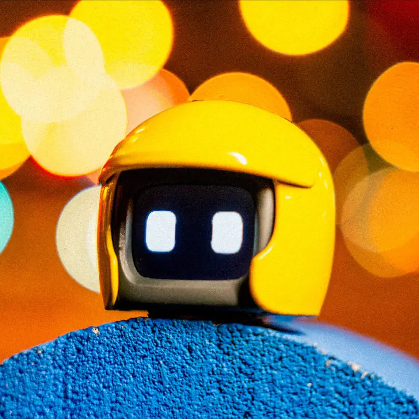 Poki (Preorder) – six-speed.jp